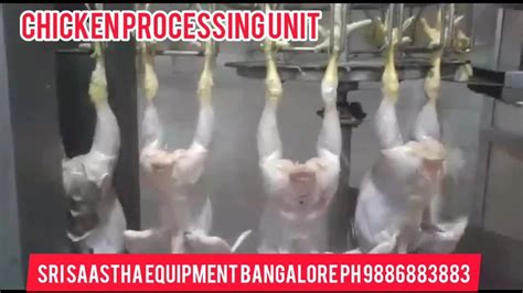 Chicken Processing Unit At Rs 2700000 Poultry Processing Plant In