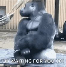 Waiting Funny S Tenor