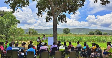굿네이버스 아프리카의 빈곤 상황을 알리는 ‘글로벌 뉴스 쇼 W 진행