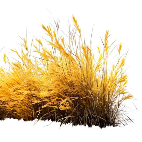 Premium Ai Image Japanese Forest Grass Goldenyellow Foliage Leafy