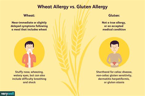 Wheat Allergy Symptoms Causes Diagnosis And Treatment