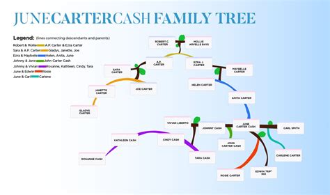 Johnny Cash Juni Carter Barn Musician John Carter Cash On His