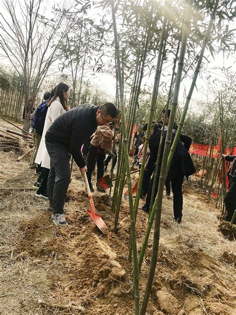 植树节：阳春三月春光好，双湖农场植树忙 豫发集团