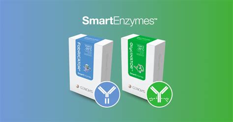 Automated Mab Subunit Generation Protocol Onelab