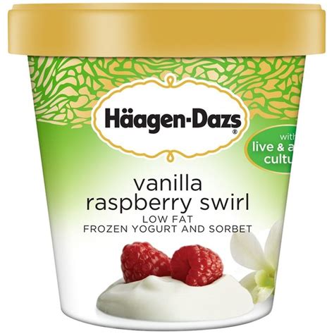 Haagen Dazs Vanilla Raspberry Swirl Low Fat Frozen Yogurt 14 Fl Oz