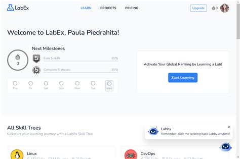 Labex Review Features Use Cases Pricing Alternatives