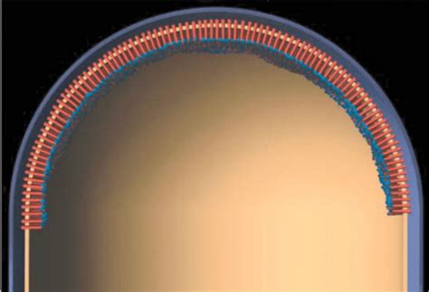 E Coli Chemotaxis The Baffling Intelligence Of A Single Cell