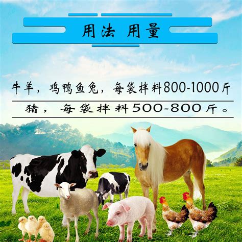 维佳肽吃睡长强力生长素催肥饲料添加剂兽用猪牛羊鸡鸭鱼促生长虎窝淘