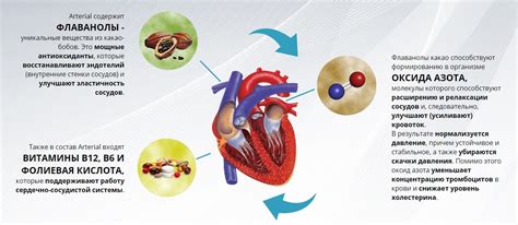 Купить препарат Артериал Цена в аптеке на лекарство от гипертонии 186 рублей