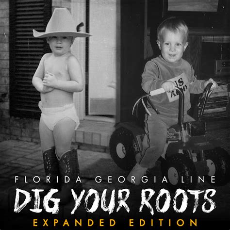 Dig Your Roots Expanded Edition Album By Florida Georgia Line