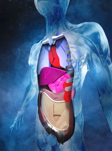 Researchers Uncover Why Mental Maps Fade With Age