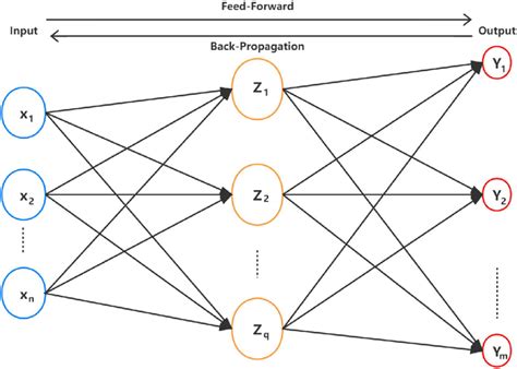 Topology Of Neural Networkfig 1 This Figure Shows The Basic