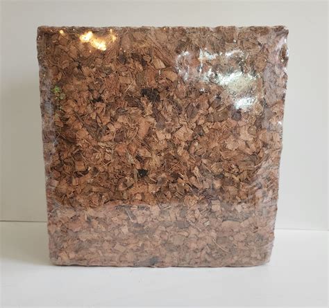 Cocoa Mulch 25 Cubic Ft Darren Hamill Reptiles