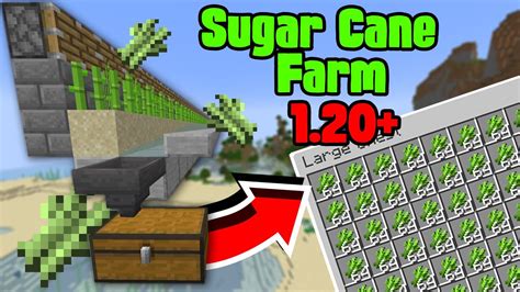 How To Make Easy Automatic Sugar Cane Farm Minecraft 1 20 Java