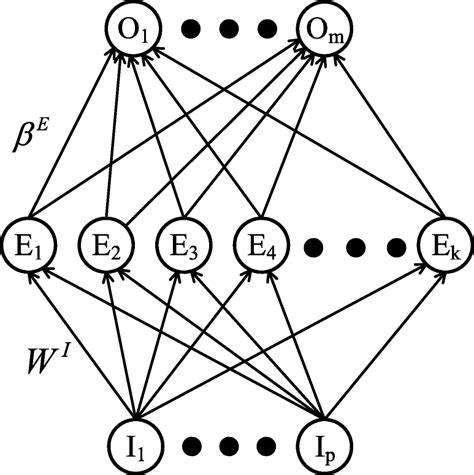 Single Hidden Layer Feedforward Network Download Scientific Diagram
