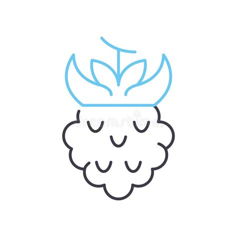 Raspberry Line Icon Outline Symbol Vector Illustration Concept Sign