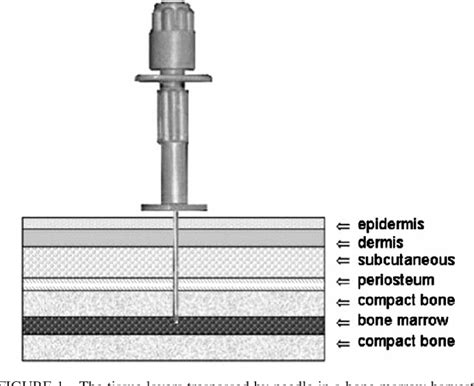 Figure 1 From Using Fuzzy Hidden Markov Models For Online Training Evaluation And Classification