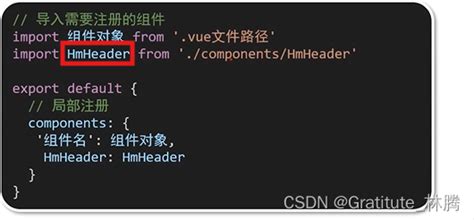 普通组件的注册 局部注册和全局注册
