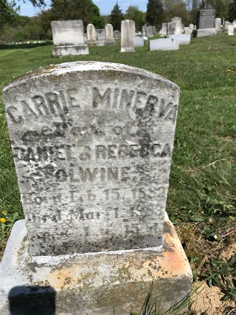Carrie Minerva Olwine 1882 1883 Find A Grave Memorial