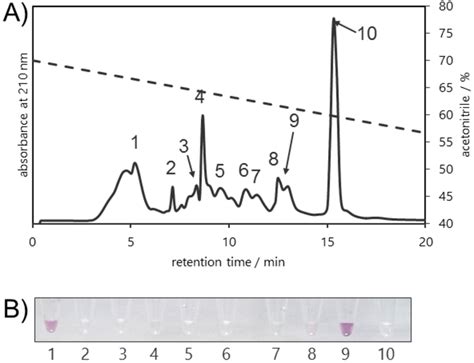 A Hplc Spectrum Of The Extracellular Component Separated By Amide Download Scientific Diagram