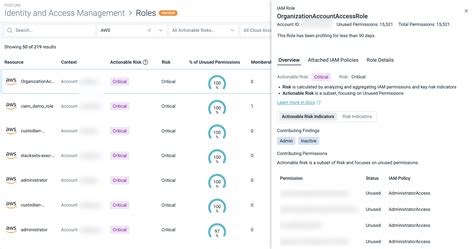 Optimize Aws Role Entitlements Sysdig Docs