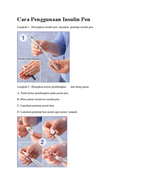 Cara Penggunaan Insulin Pdf