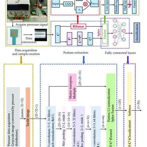 The Framework Of The Proposed Bilinear Feature And Multi Layer Fused Download Scientific