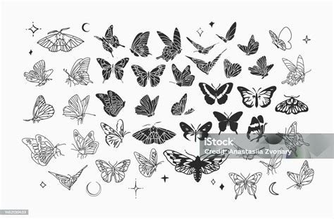 손으로 그린 벡터 추상 그래픽 삽화 컬렉션 세트 번들에는 로고 요소 마법의 윤곽선과 신비로운 비행 나비와 나방의 실루엣 라인