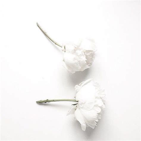 Vanezza Mosese Vanezza Mosese • Instagram Photos And Videos