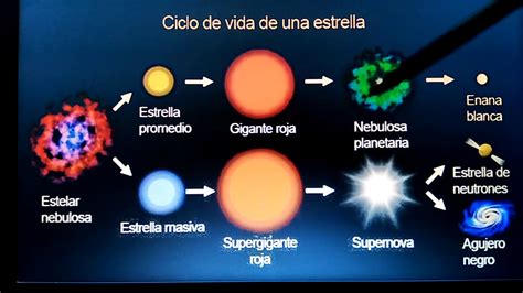 Formación De Las Estrellas Youtube