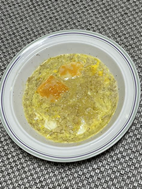 다이어트식단 냠냠 첫 오트밀 Daum 카페