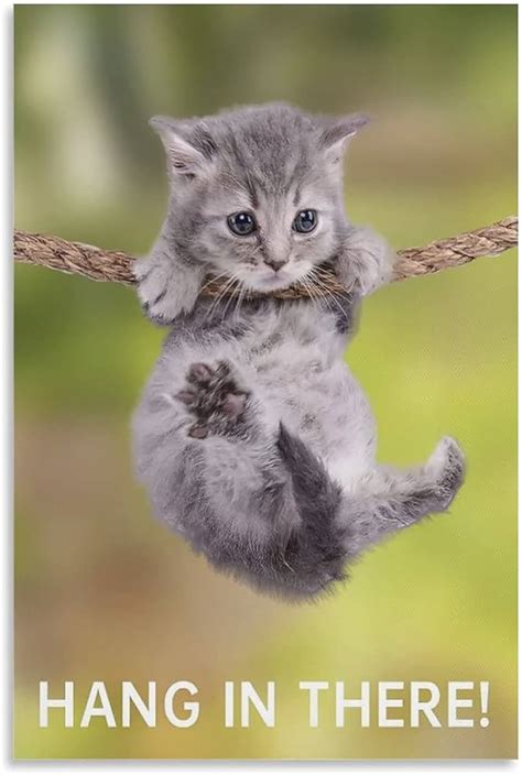 Hang In There Motivational Poster
