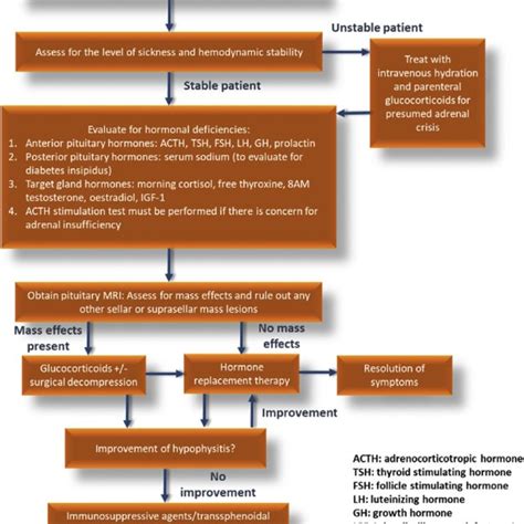 Pdf Hypophysitis An Update On The Novel Forms Diagnosis And Management Of Disorders Of