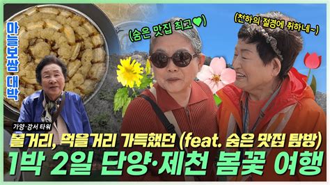 볼거리 먹을거리 가득했던1박 2일 단양·제천 봄꽃 여행 Feat 아는 사람만 아는 숨은 맛집 대공개 실버타운여행 Youtube