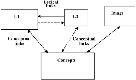 a revised hierarchical model with image adapted from yoshii 2006