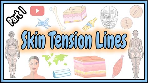 Neck Skin Tension Lines