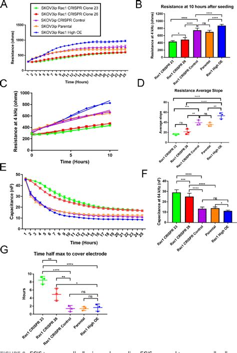 Figure 2 From Agent Based Modeling Predicts Rac1 Is Critical For