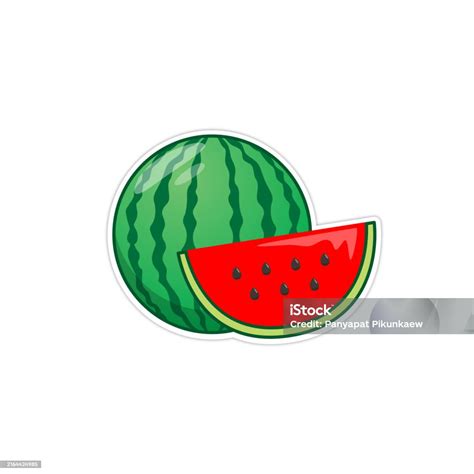 씨앗과 함께 조각을 보여주는 전체 수박의 벡터 일러스트 레이 션 수박에 대한 스톡 벡터 아트 및 기타 이미지 수박 씨앗
