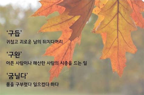재미있는 순우리말 시리즈 시작합니다 ㄱ부터 ㅎ까지 아름다운 하루에 15분 글쓰기 글잼 Facebook