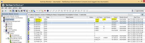 Remote Infrastructure Management Netbackup Performing Oracle