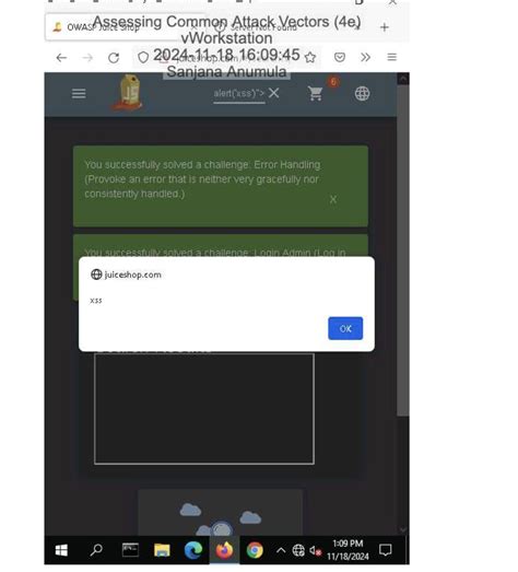 Cybersecurity Ethicalhacking Sanjana A