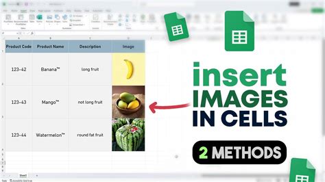 How To Insert Image In Excel Cell Correctly Youtube