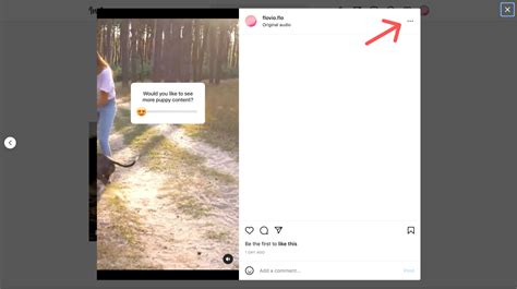 How To Embed Instagram Reels On Your Website Super Easy Guide • Spotlight