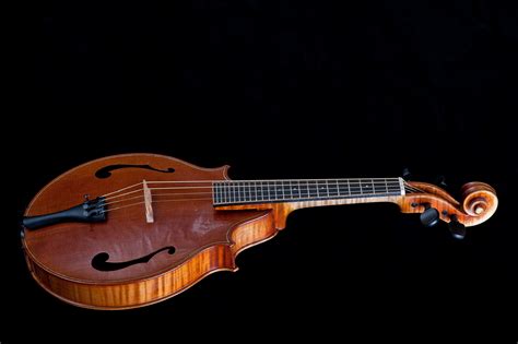 Piccolo Mandolin — Campanella Stringed Instruments