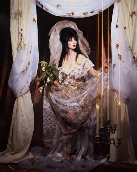 Halloween Monster Dark Beauty Goth Beauty Elvira Movies