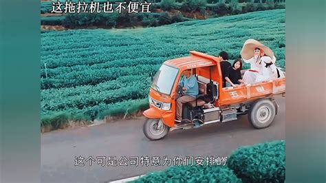 简直笑不活了 两个人的小森林 虞书欣张彬彬 好剧推荐 腾讯视频