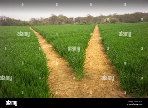 Split Path Hi Res Stock Photography And Images Alamy