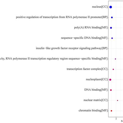 Gene Ontology Go Analysis Of Differential Genes Of The Giant Panda
