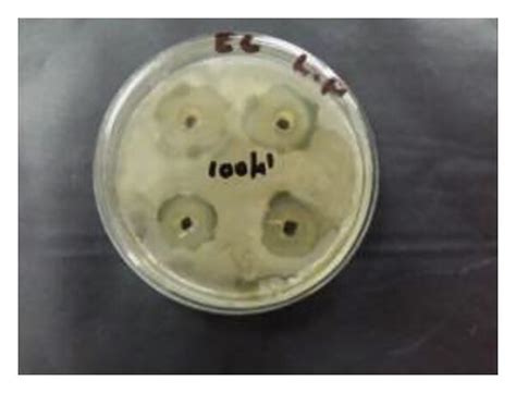 Antibacterial Activity Of Silver Nanoparticles Synthesised Using A Download Scientific