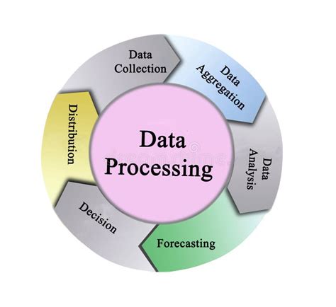 Components Of Data Processing Stock Illustration Illustration Of Analysis Concept 147420154